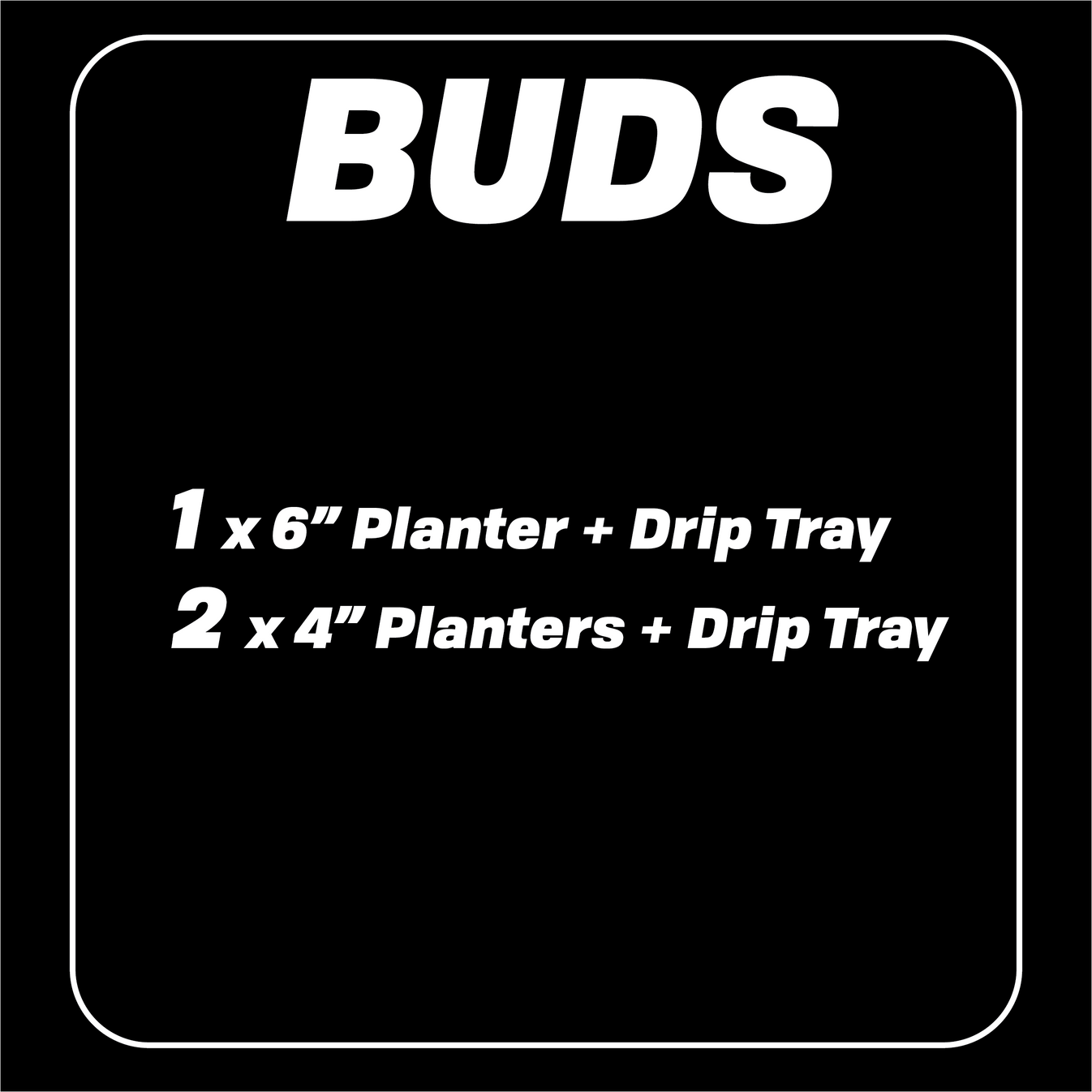 Rosebud Bundle Box Set, Choose from Buds or Blooms Bundles – Rosebud ...