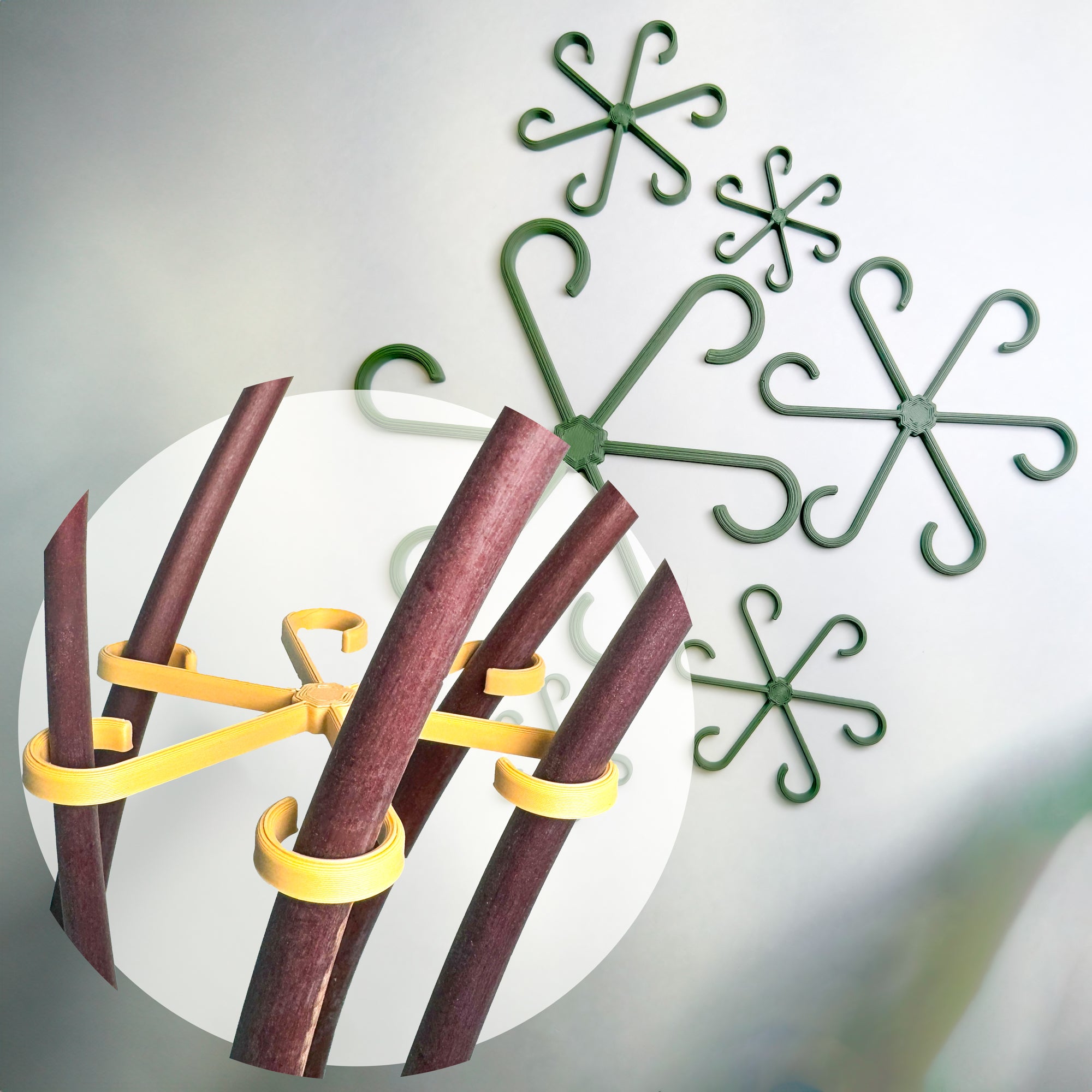 Morning Glory BCLONG Reusable Clear Plastic Plant Stem Supports For ...