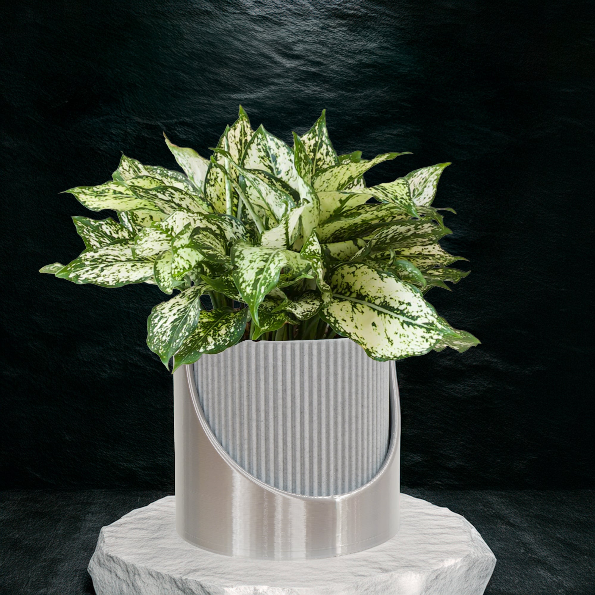 4, 6, 8, Inch Self Watering Planter, Large Indoor Outdoor Plant Pot wi ...